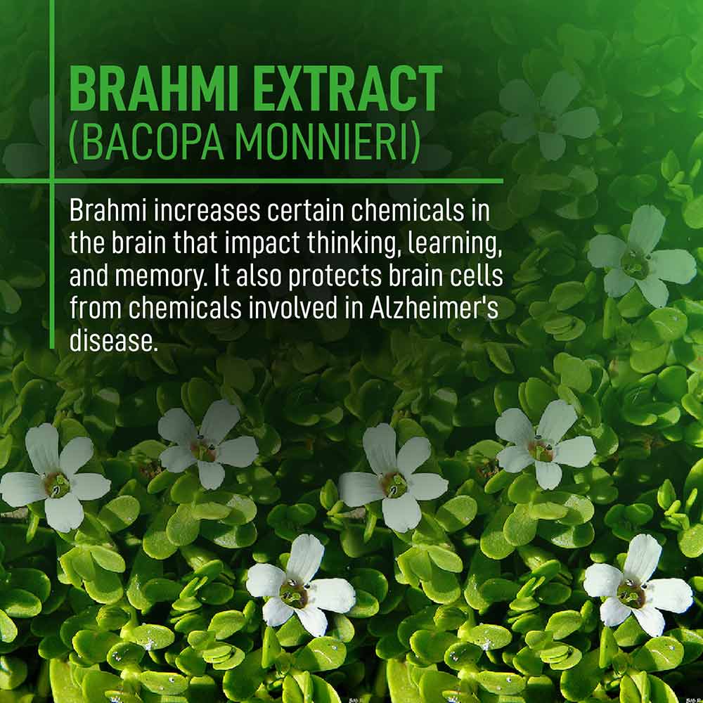 Brahmi Extract at Best Price in India | Healthkart.com