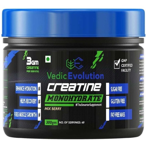 Vedic Evolution Creatine Monohydrate, Mix Berry 0.66 lb at Best Price ...